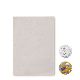 A6 Wildflower Seed Paper Sheet - Eco-Friendly Plantable Paper for ...